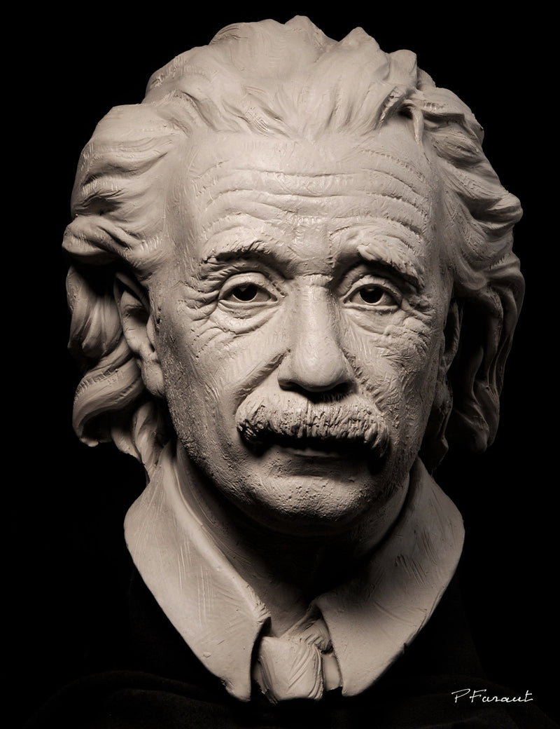 Einstein - PCF Studios