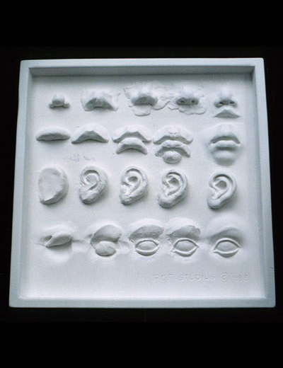 Step-by-Step Facial Features Plate - PCF Studios